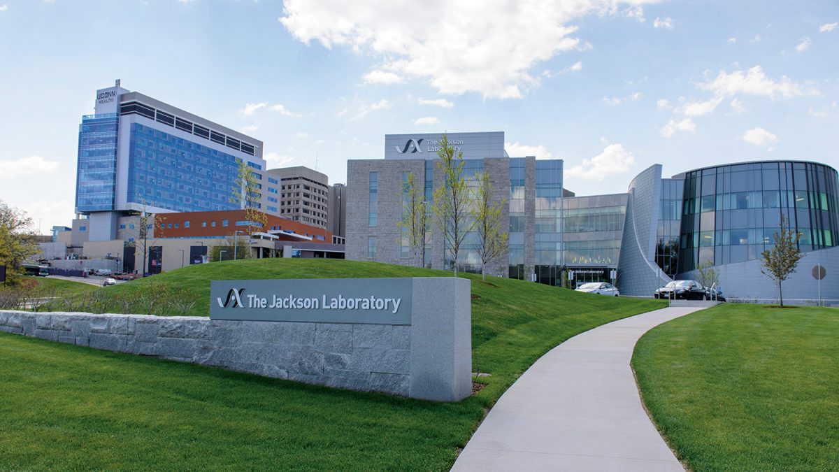 History | School of Medicine
